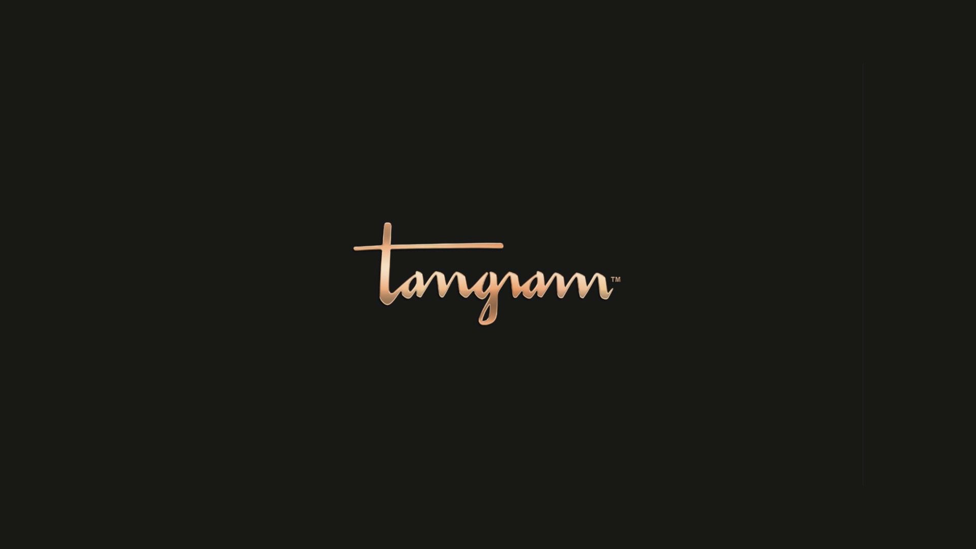Tangram, a Mixed-use Development in Flushing, NY • Conway+