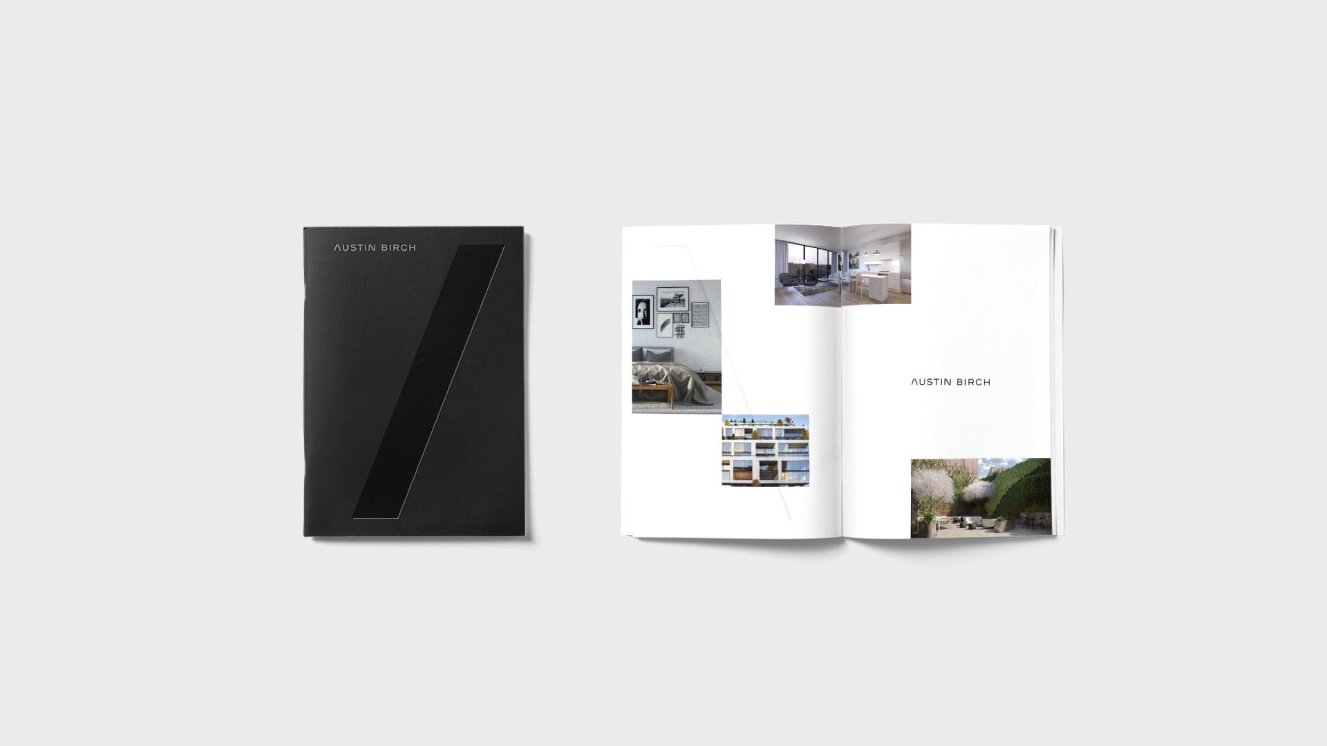 Austin Birch • Branding Project • Conway+Partners