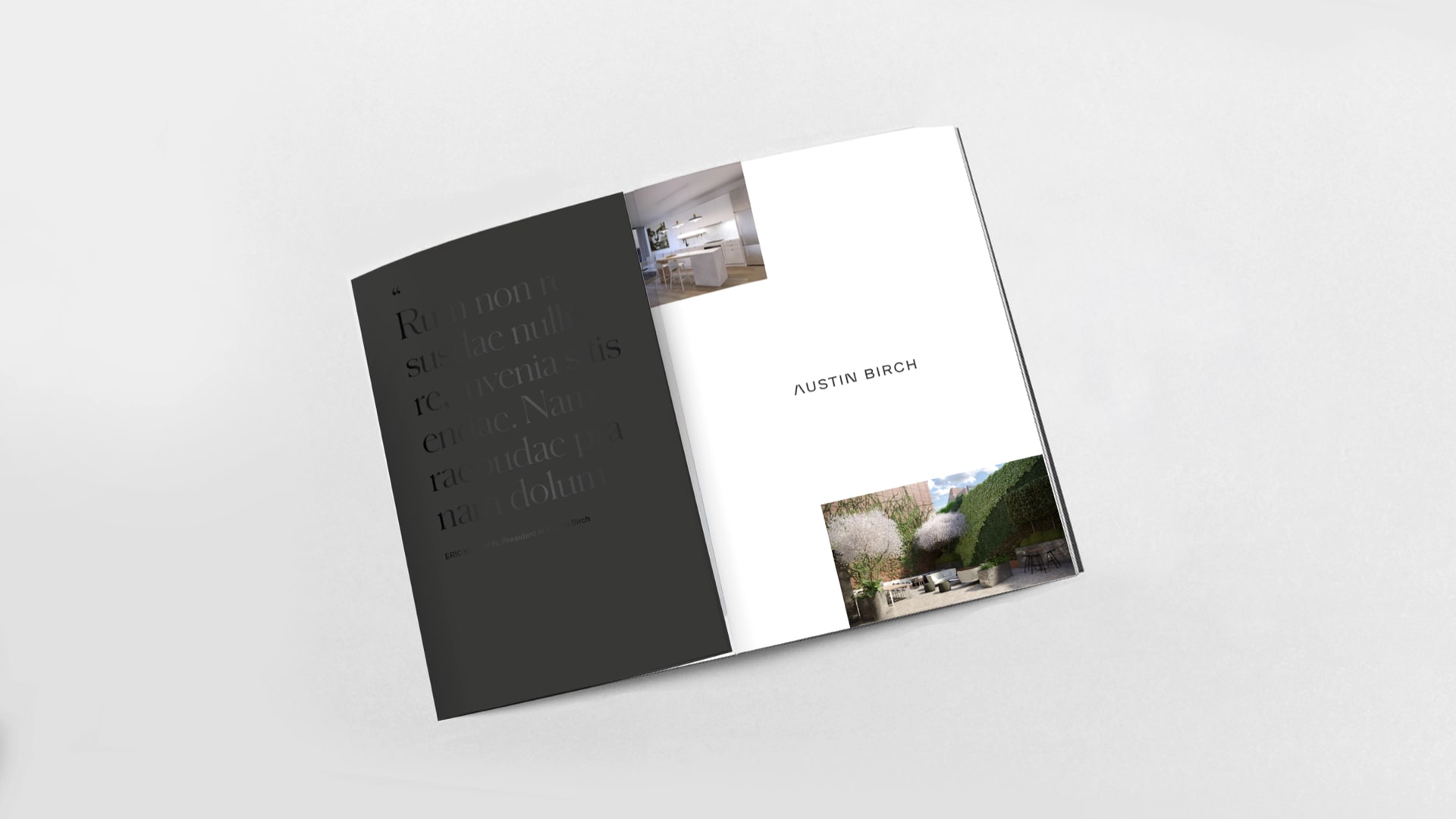 Austin Birch • Branding Project • Conway+Partners