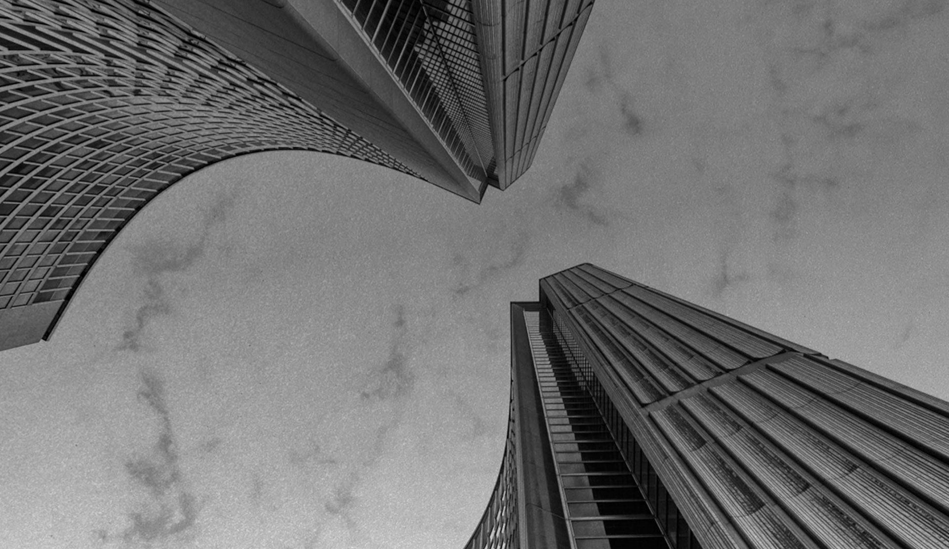 Austin Birch • Branding Project • Conway+Partners