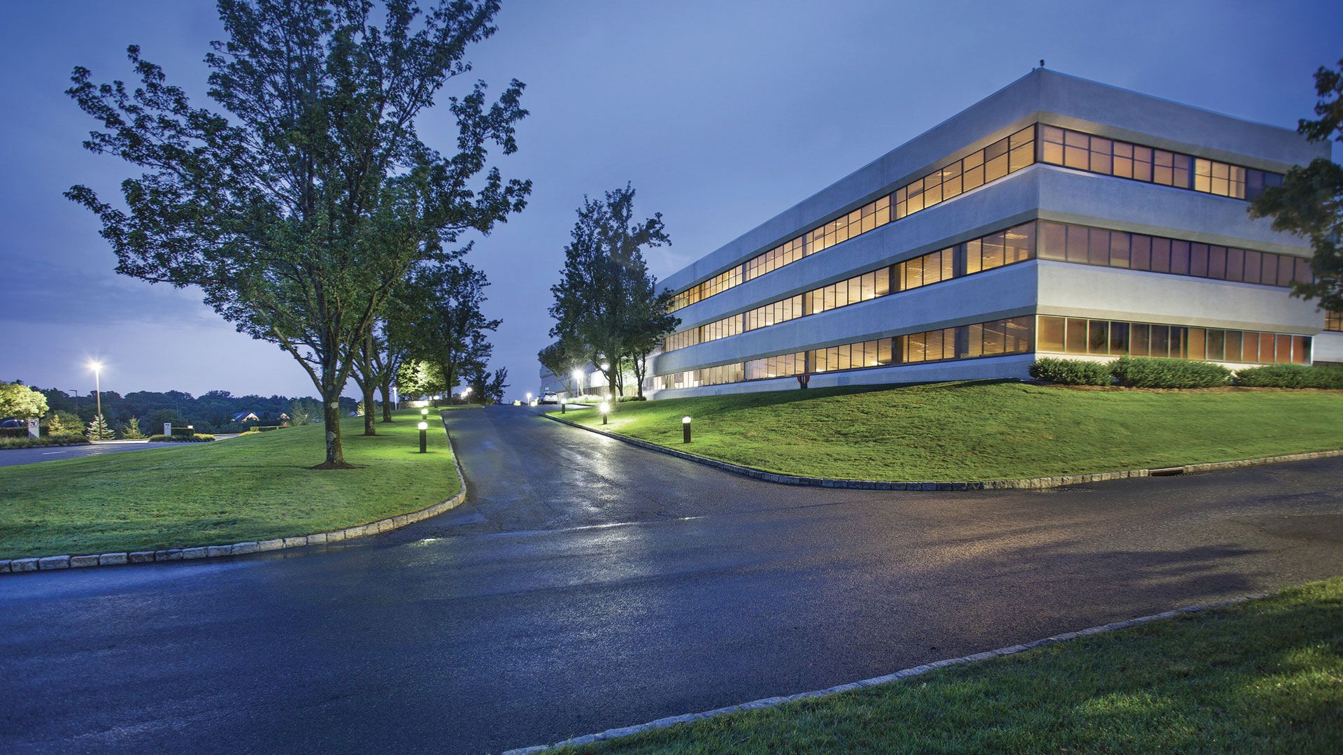 Kingsbrook • Branding Project • Conway+Partners