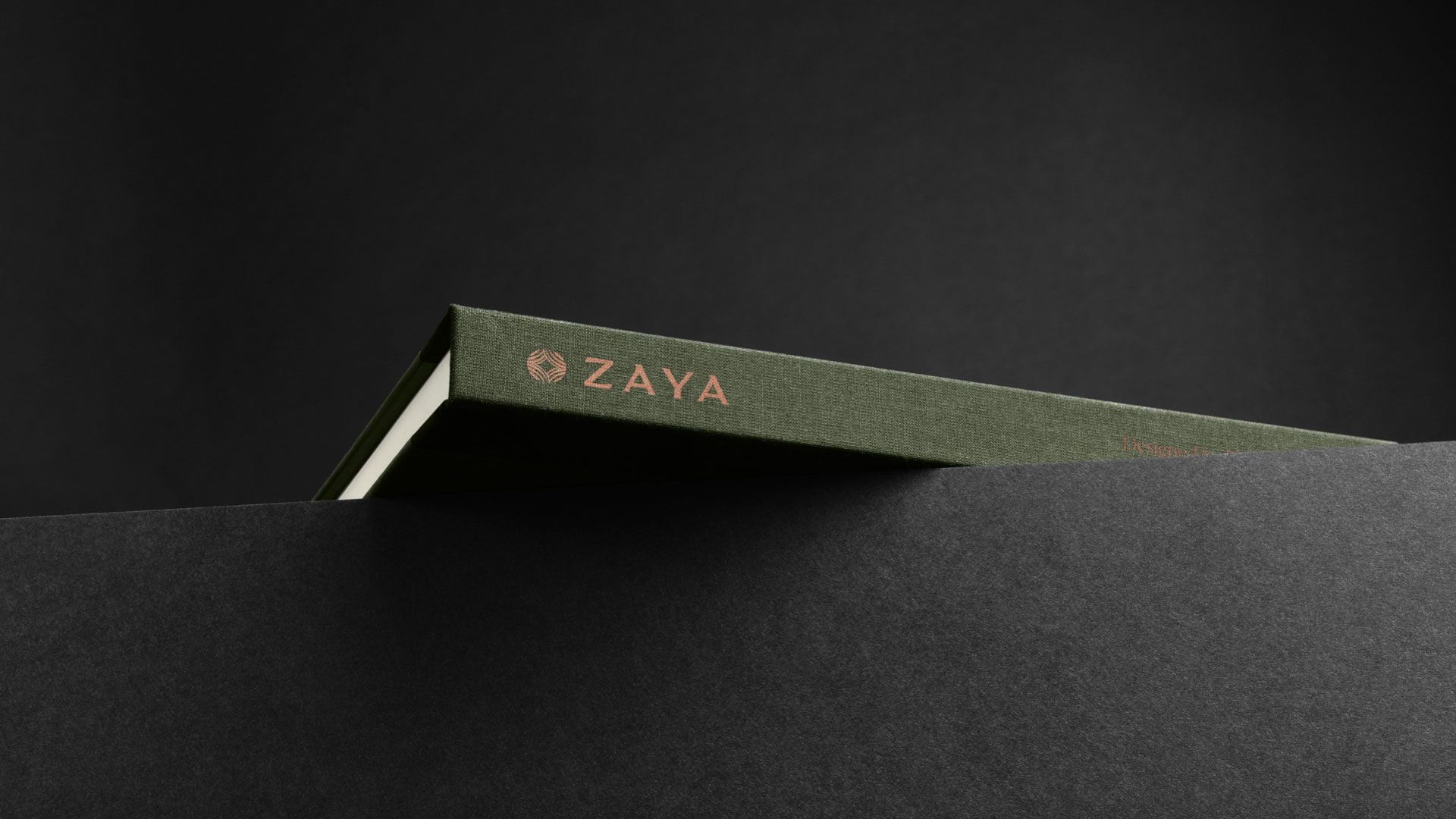 ZAYA • Corporate Branding • Conway+Partners