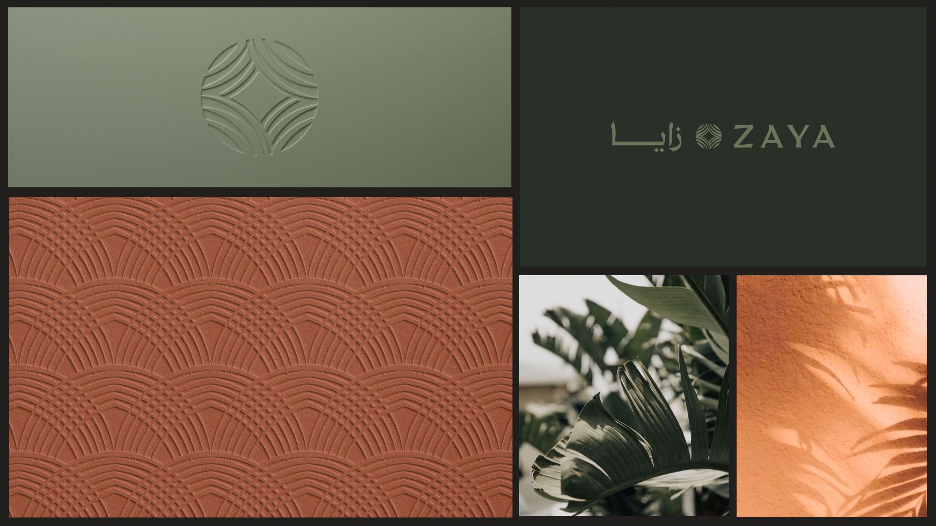 ZAYA • Corporate Branding • Conway+Partners