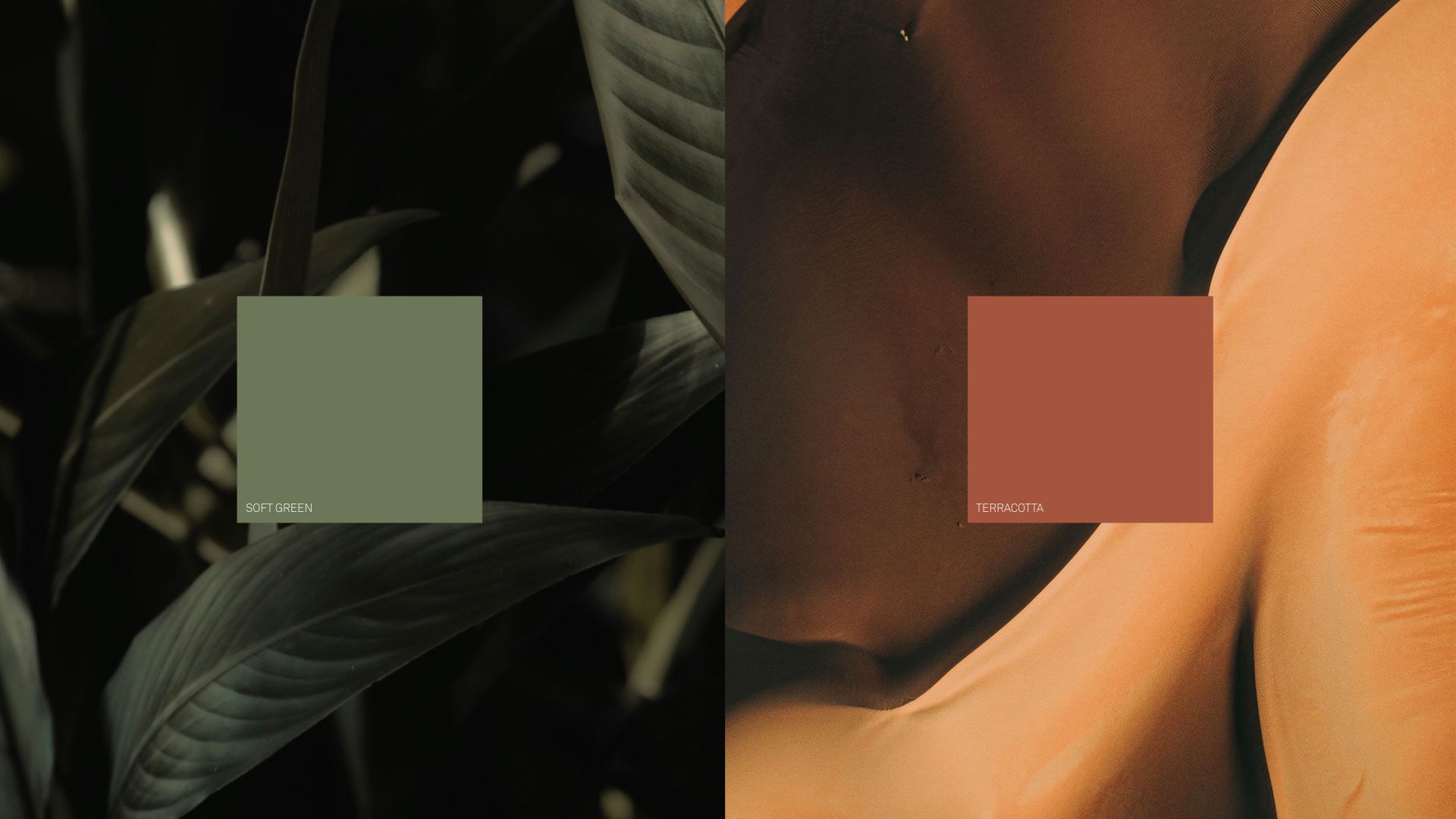 ZAYA • Corporate Branding • Conway+Partners